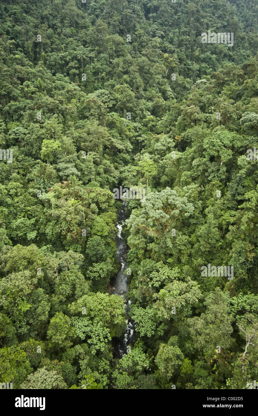 Amazon eco hi-res stock photography and images - Alamy