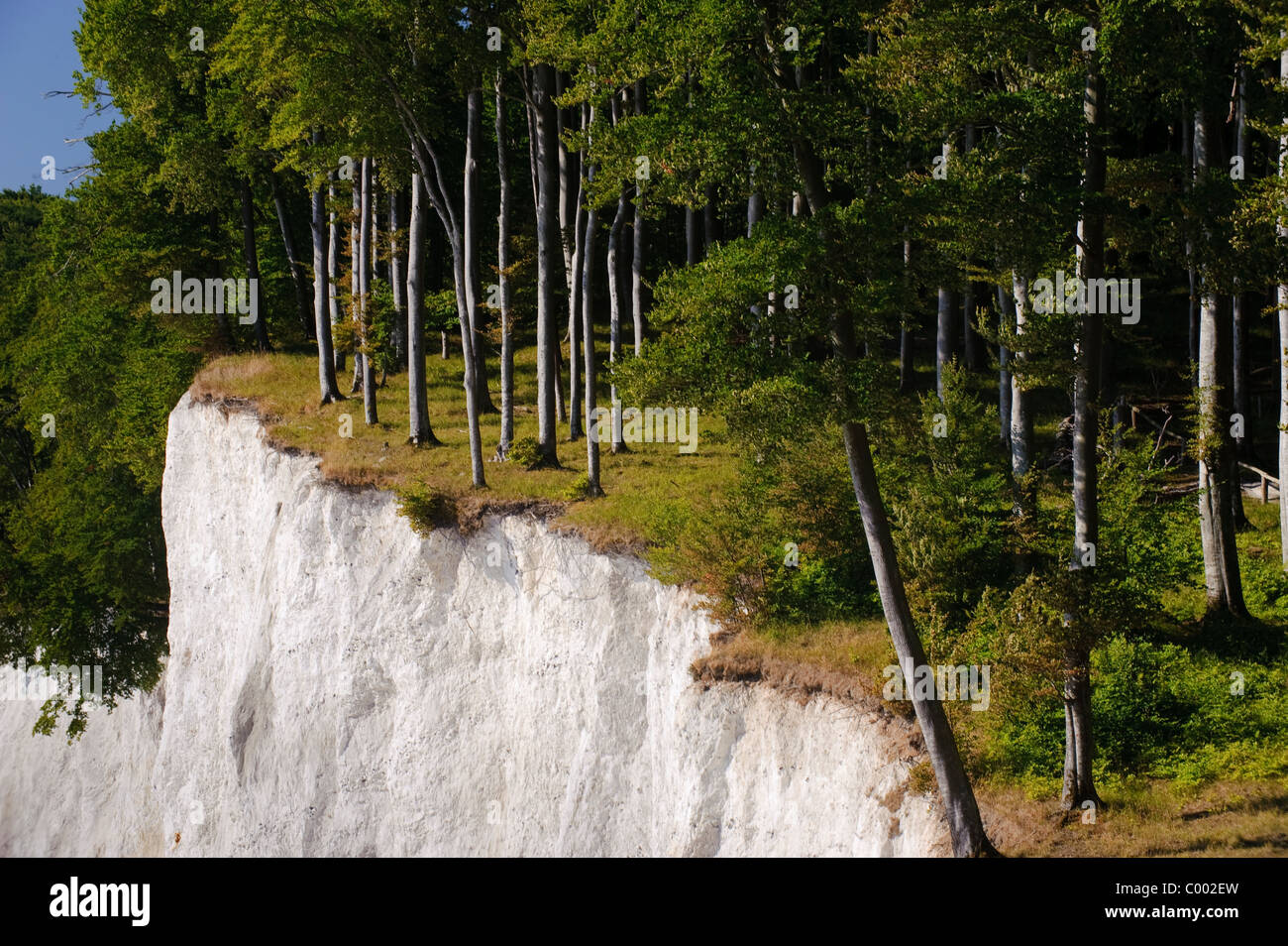 The famous chalk-cliffs at Ruegen Island, Baltic Sea Germany, Europe ...