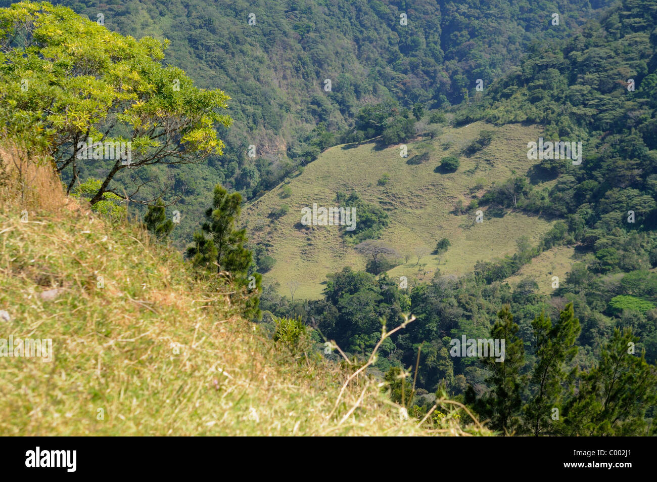 Hilly landscape covered with forest and pasture Stock Photo - Alamy