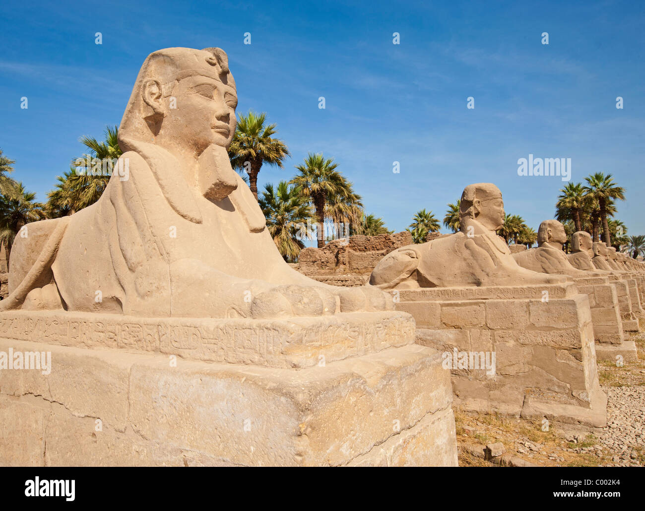 Small sphinx outside the entrance to Luxor Temple in Egypt Stock Photo ...