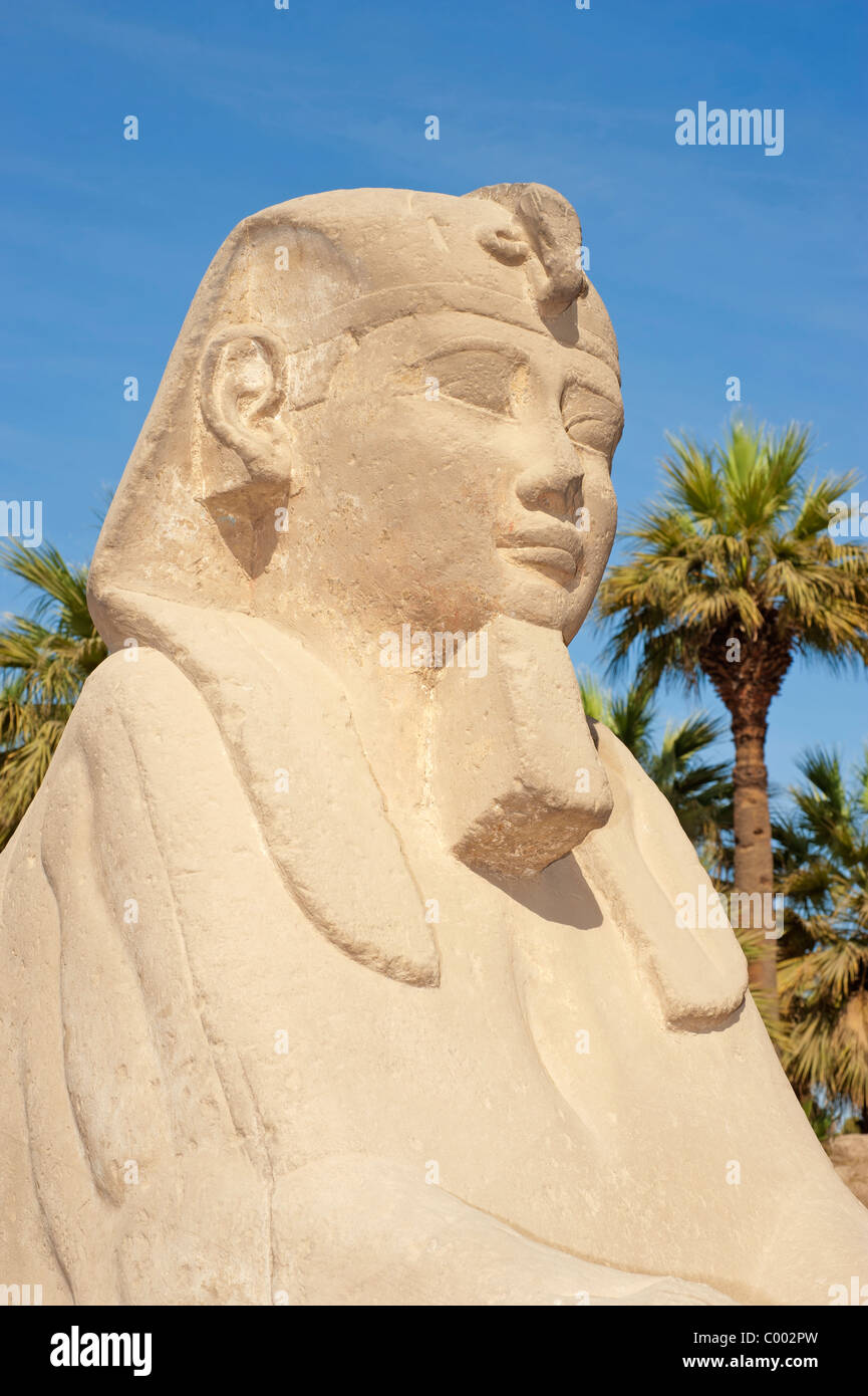 Small sphinx hi-res stock photography and images - Alamy
