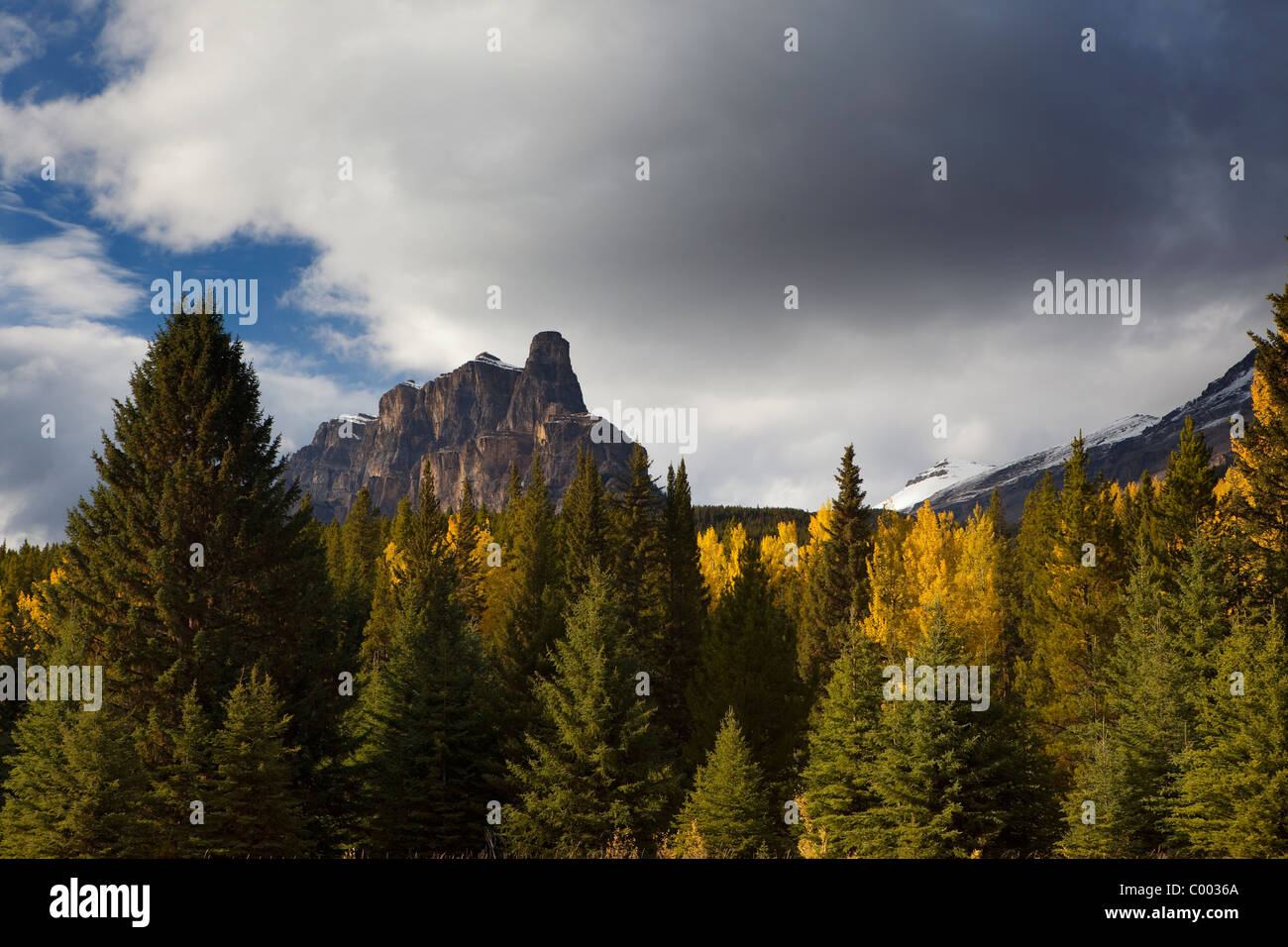 Open fields and fall colors with mountain views, Banff National Park ...