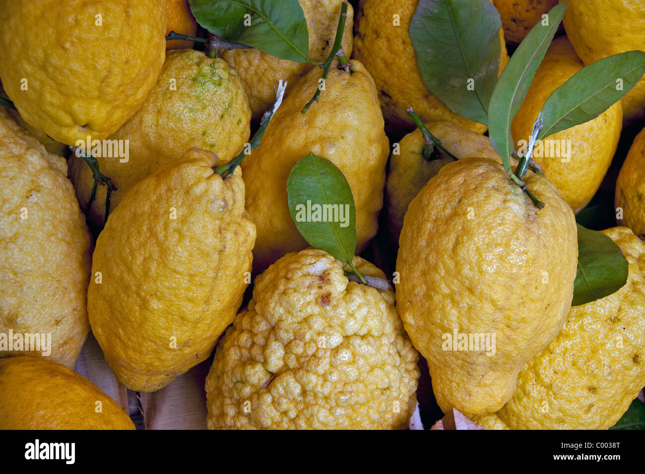 Citrus fruits of sicily hi-res stock photography and images - Alamy