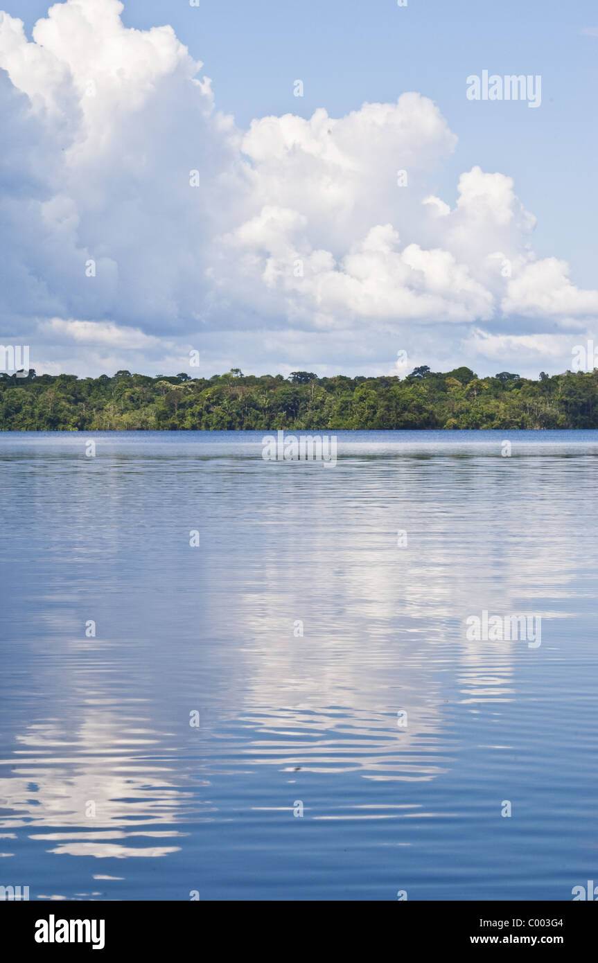 amazon basin, ecuador Stock Photo - Alamy