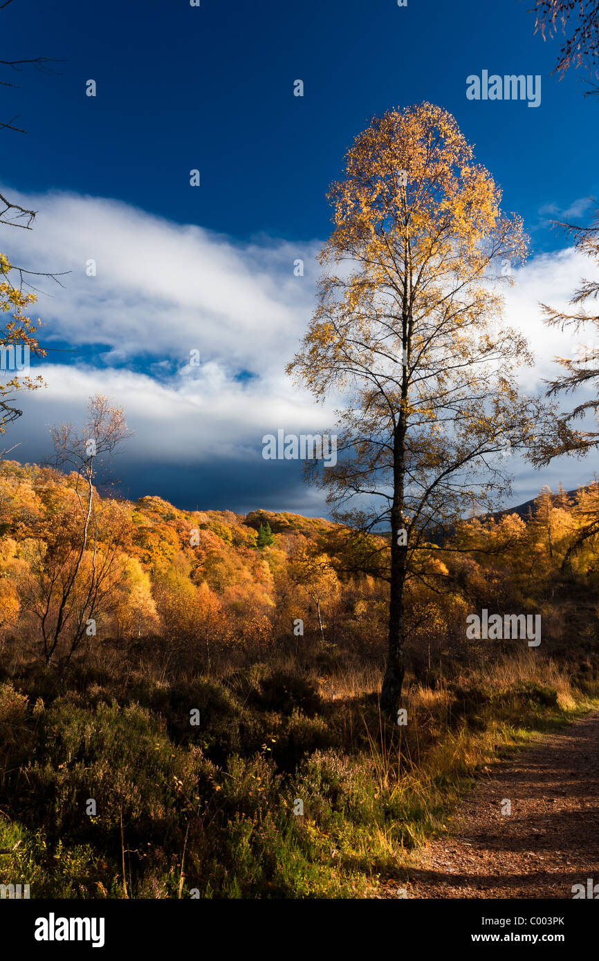 Loch ard autumn landscape hi-res stock photography and images - Alamy