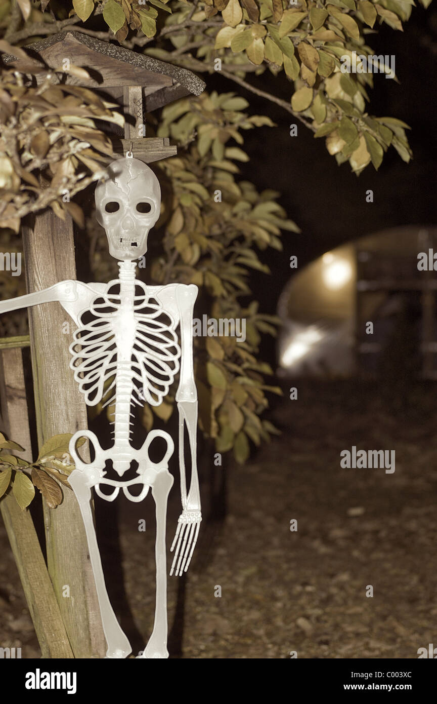 skeleton hanging from tree in garden at night Stock Photo - Alamy