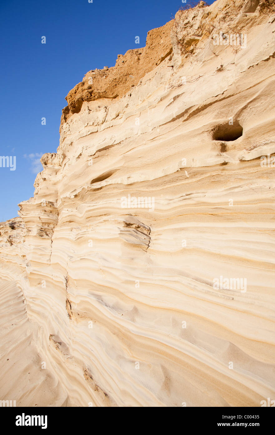 Cross-section ( strata ) of the soil in a sandy ridge / esker , formed ...