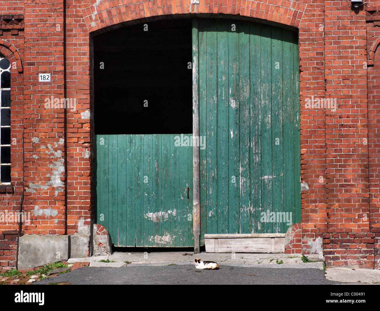 Masonry cat hi-res stock photography and images - Alamy