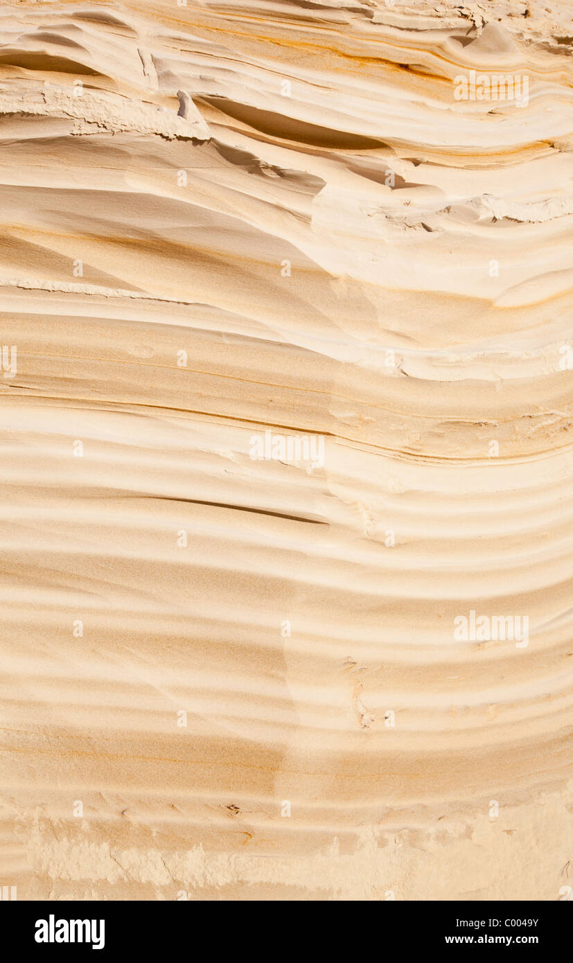 Cross-section ( strata ) of esker sandy soil , formed at the ice age ...