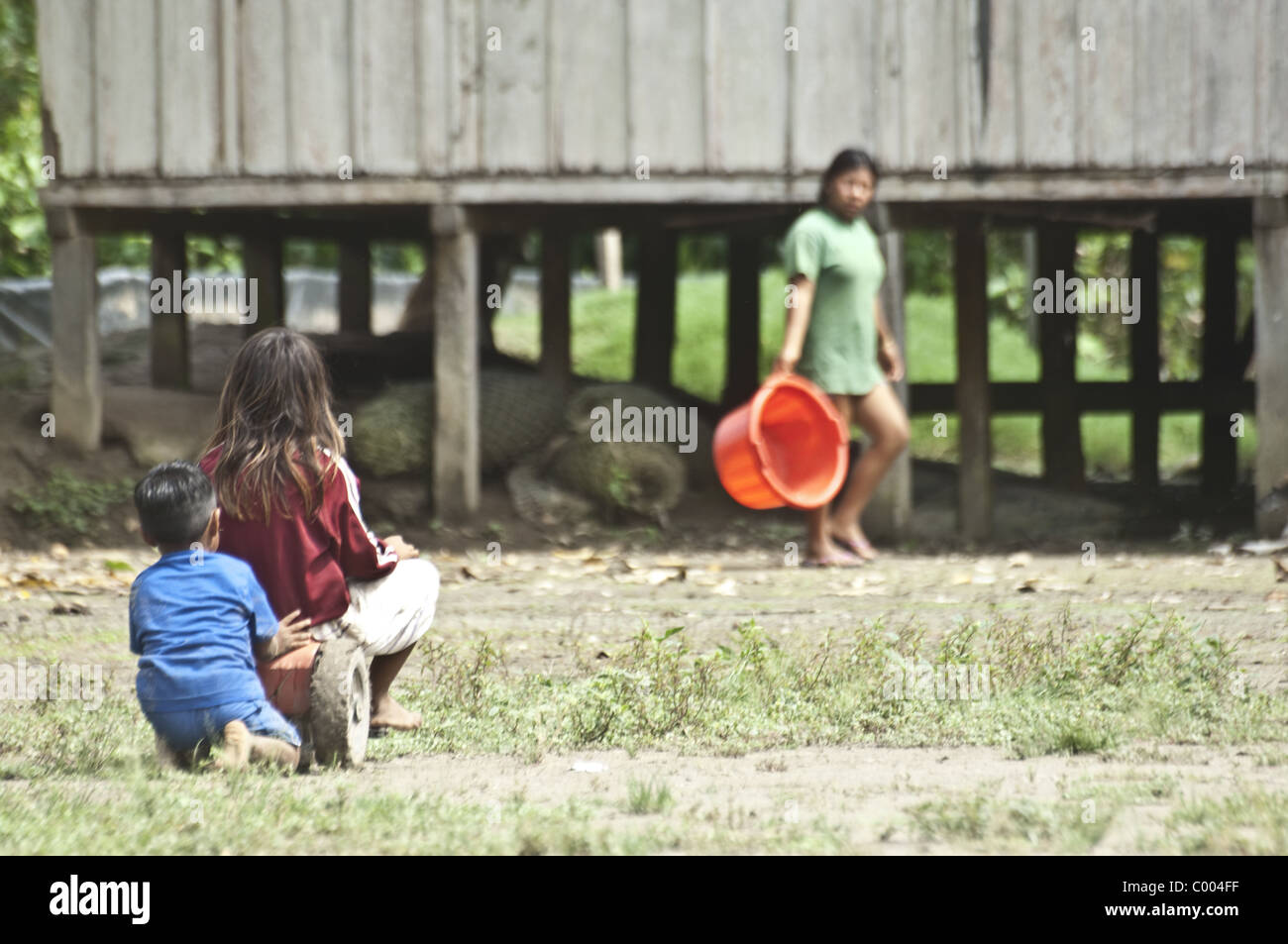 Community support in the Amazon Stock Photo - Alamy