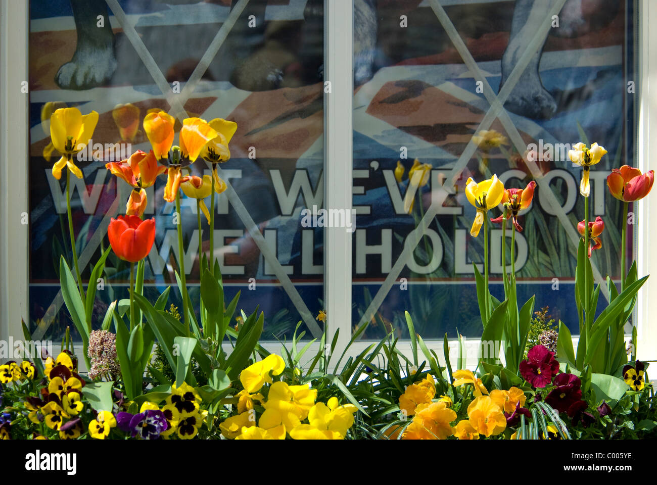 Wartime window box Stock Photo - Alamy