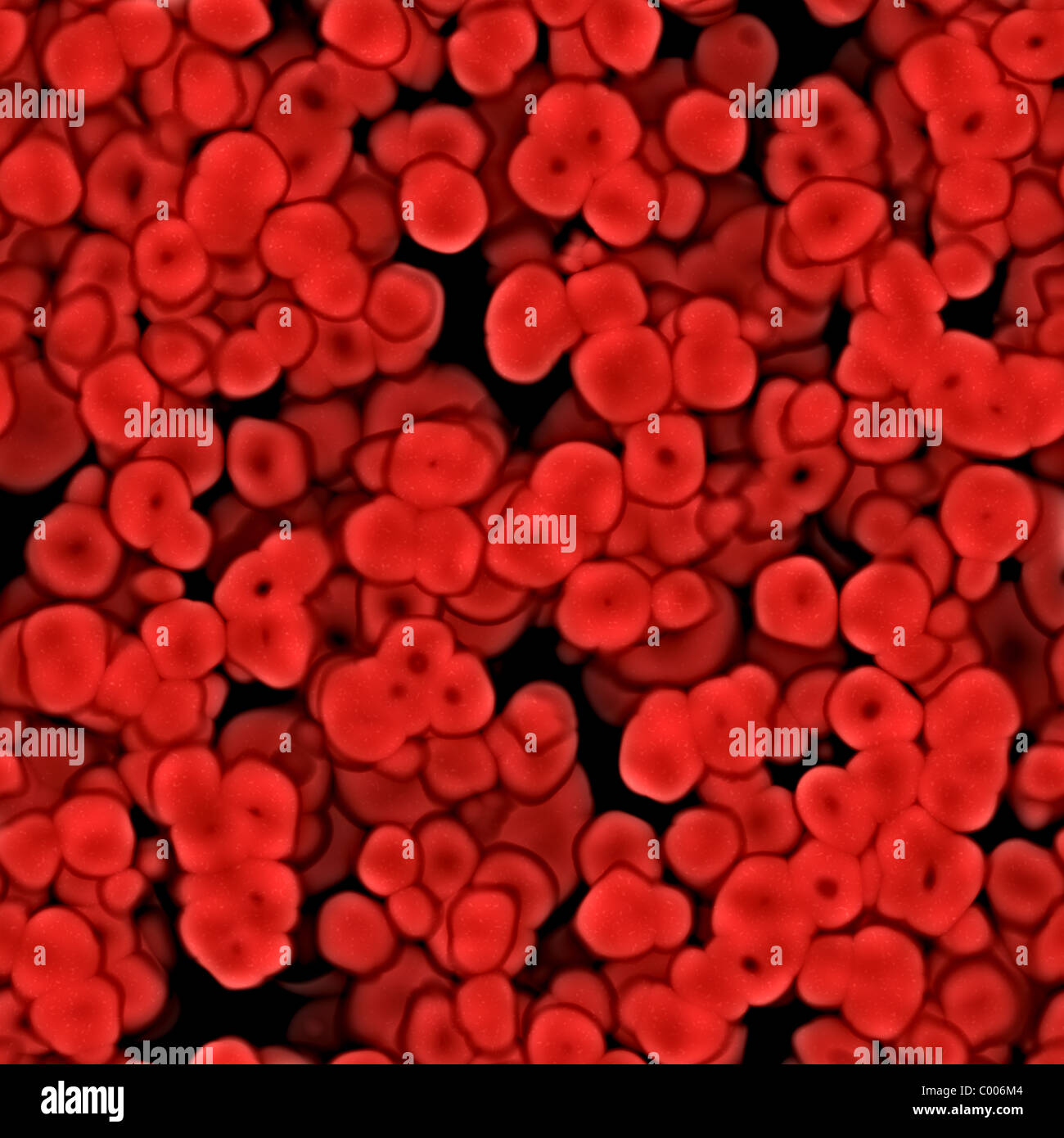 Common cold cells hi-res stock photography and images - Alamy