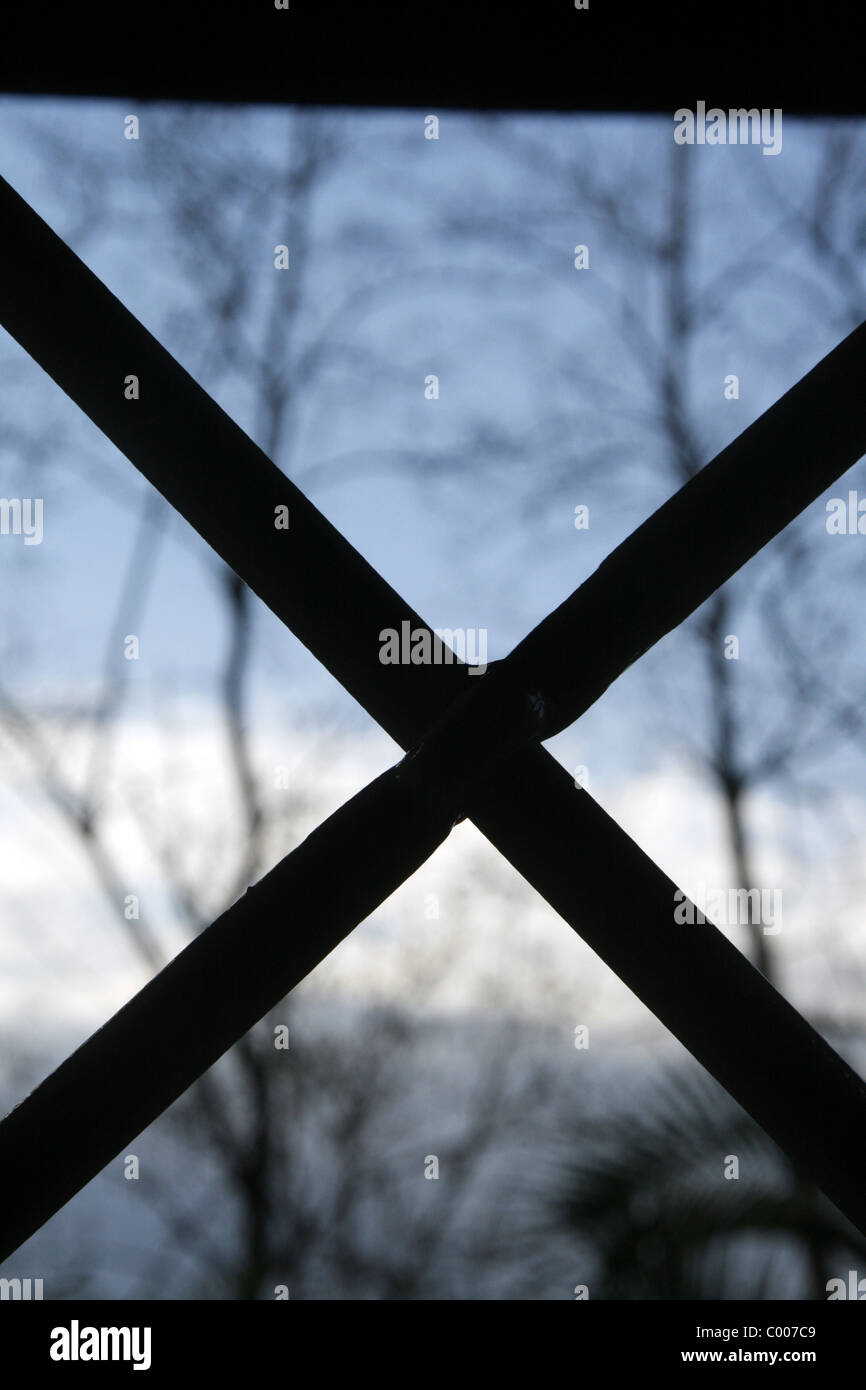 view of trees through window bars Stock Photo - Alamy
