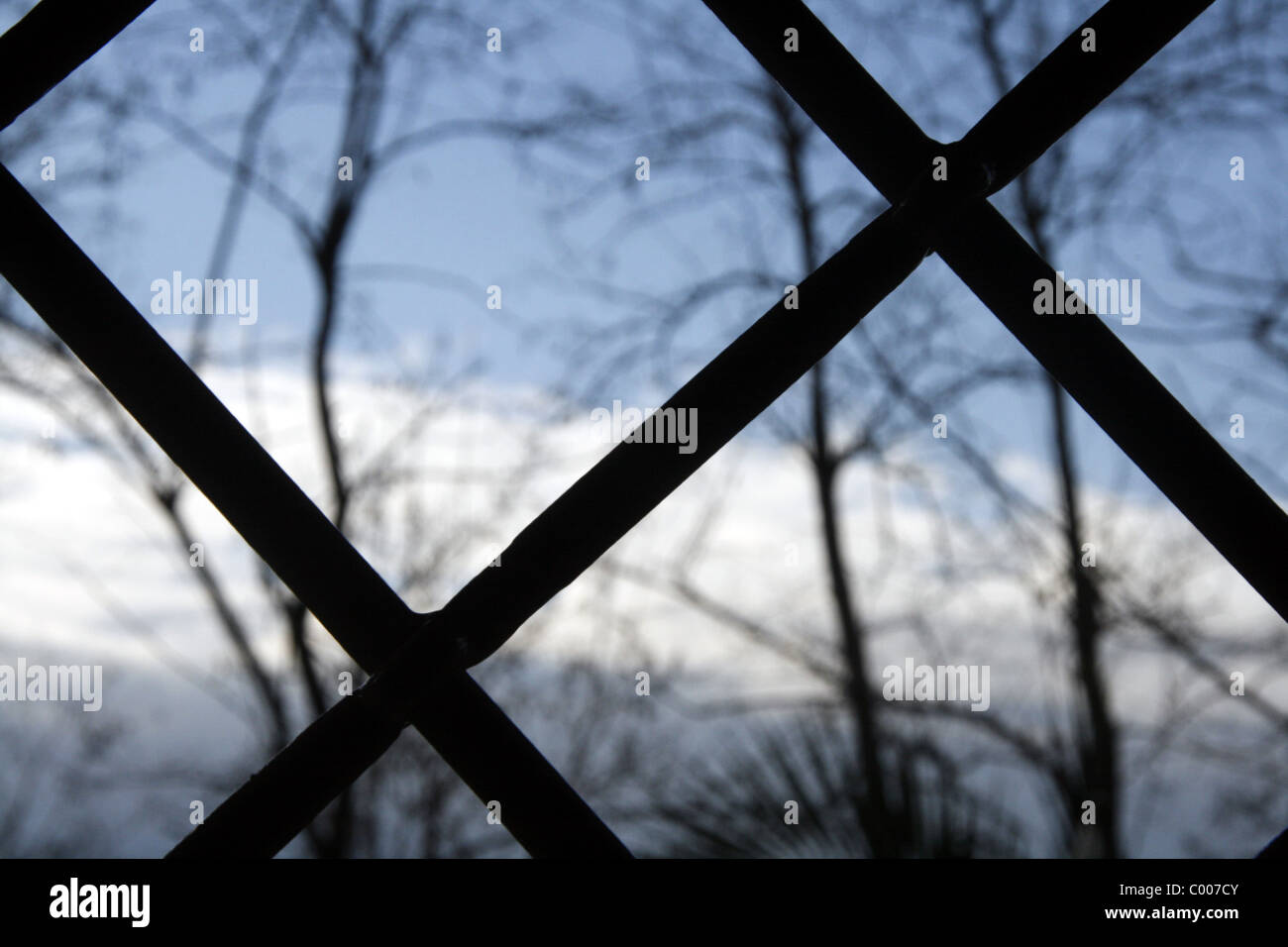 view of trees through window bars Stock Photo - Alamy