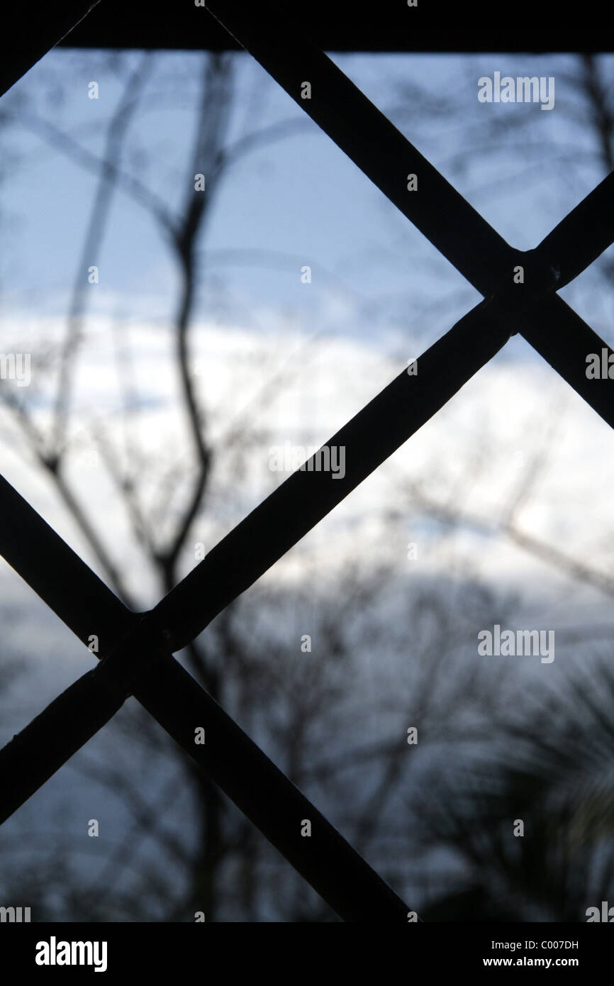 view of trees through window bars Stock Photo - Alamy