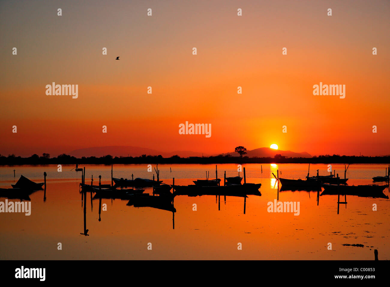Sunset in the lagoon of Messolonghi with all those beautiful ...