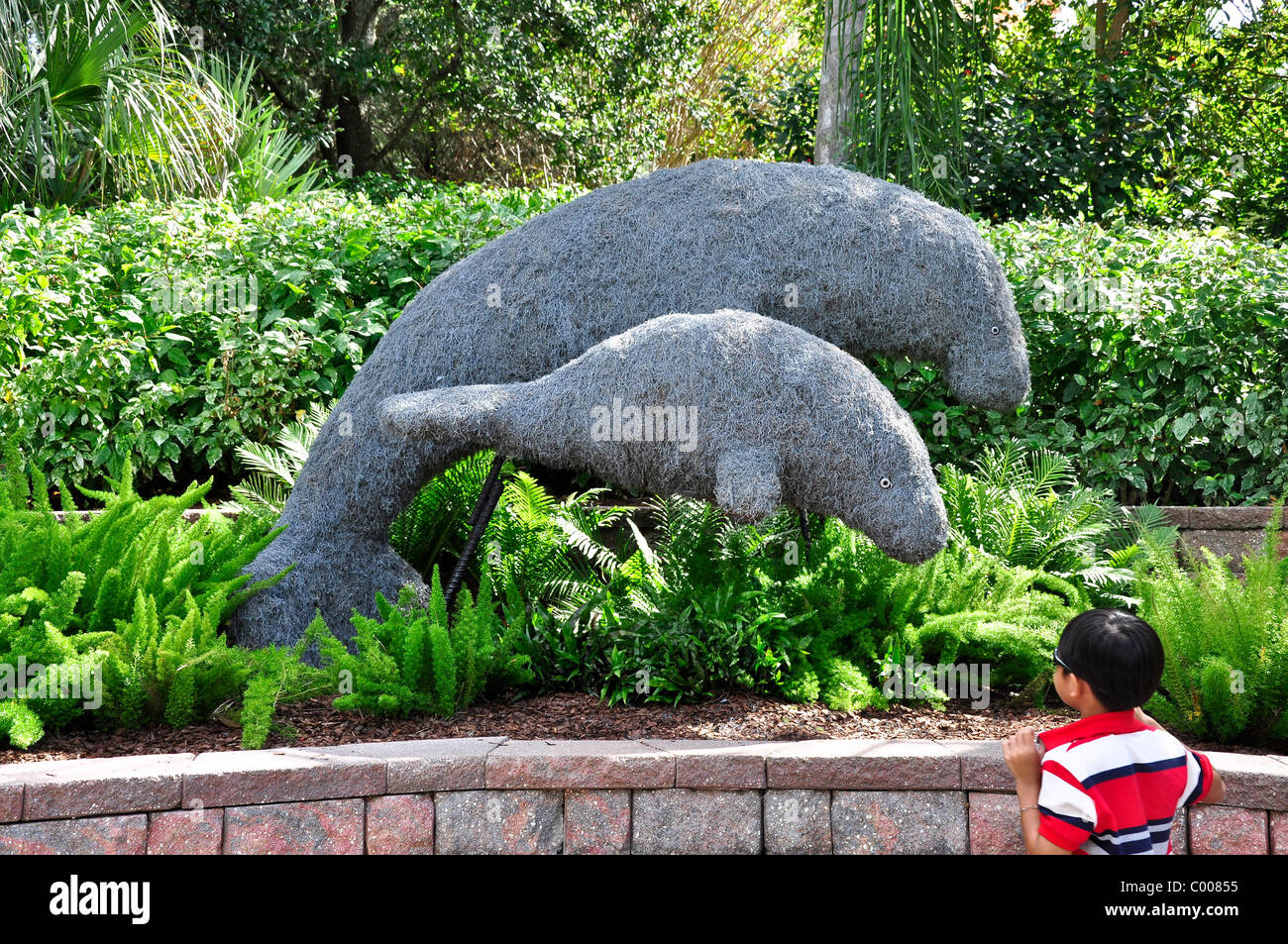 Sea world hi-res stock photography and images - Alamy