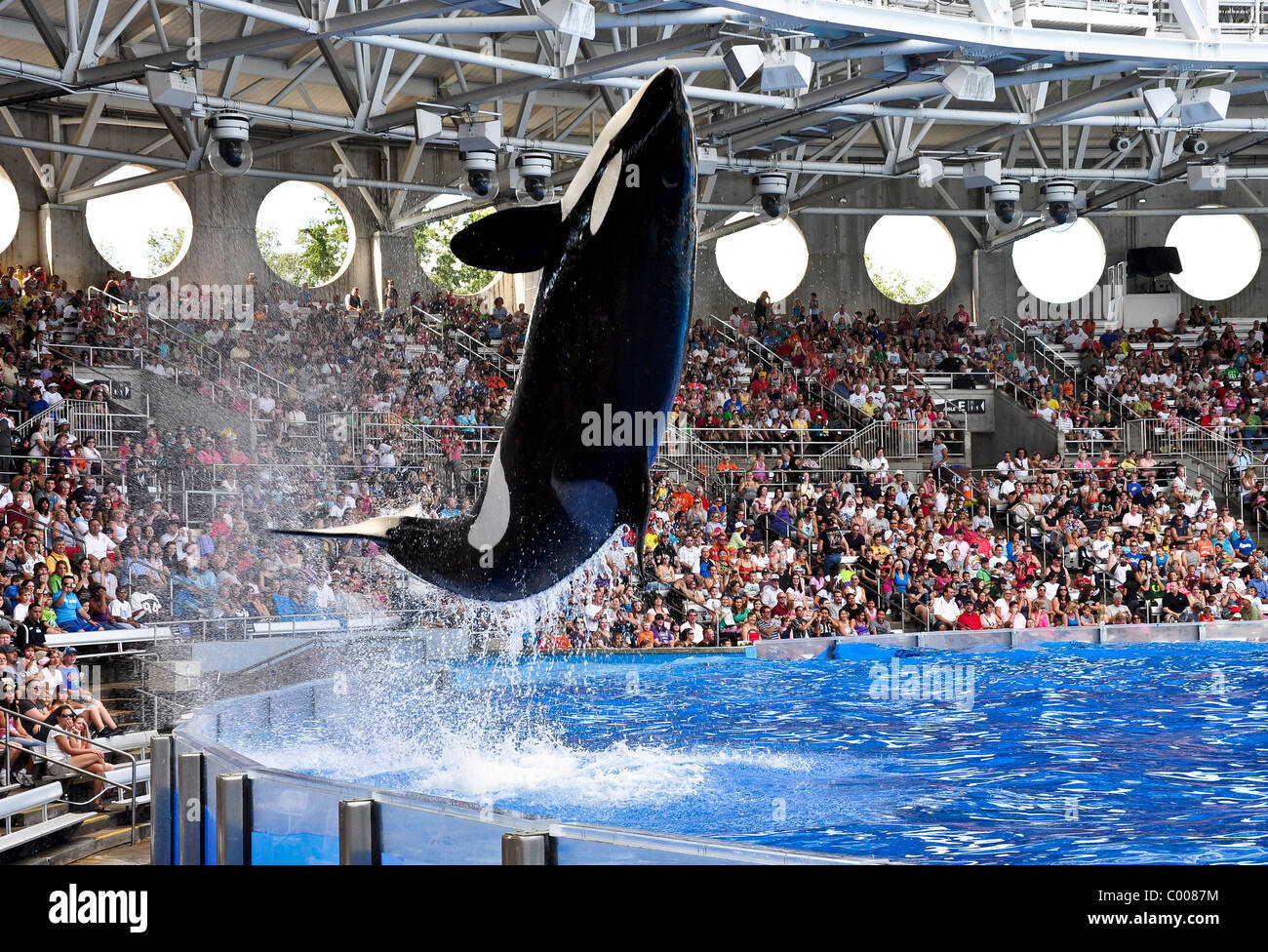 Sea world orlando florida hi-res stock photography and images - Alamy