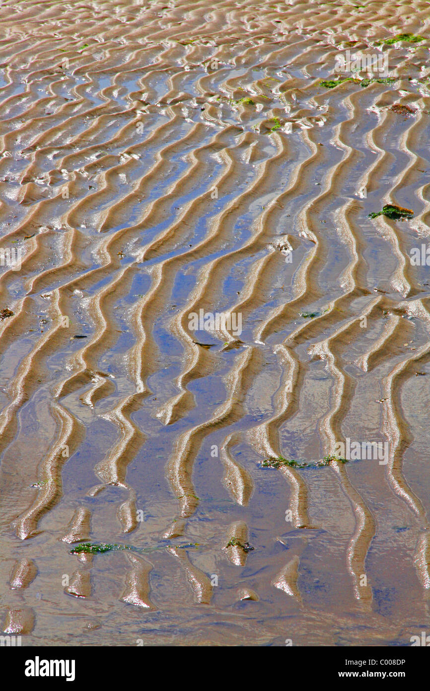 ridges in sand Stock Photo - Alamy