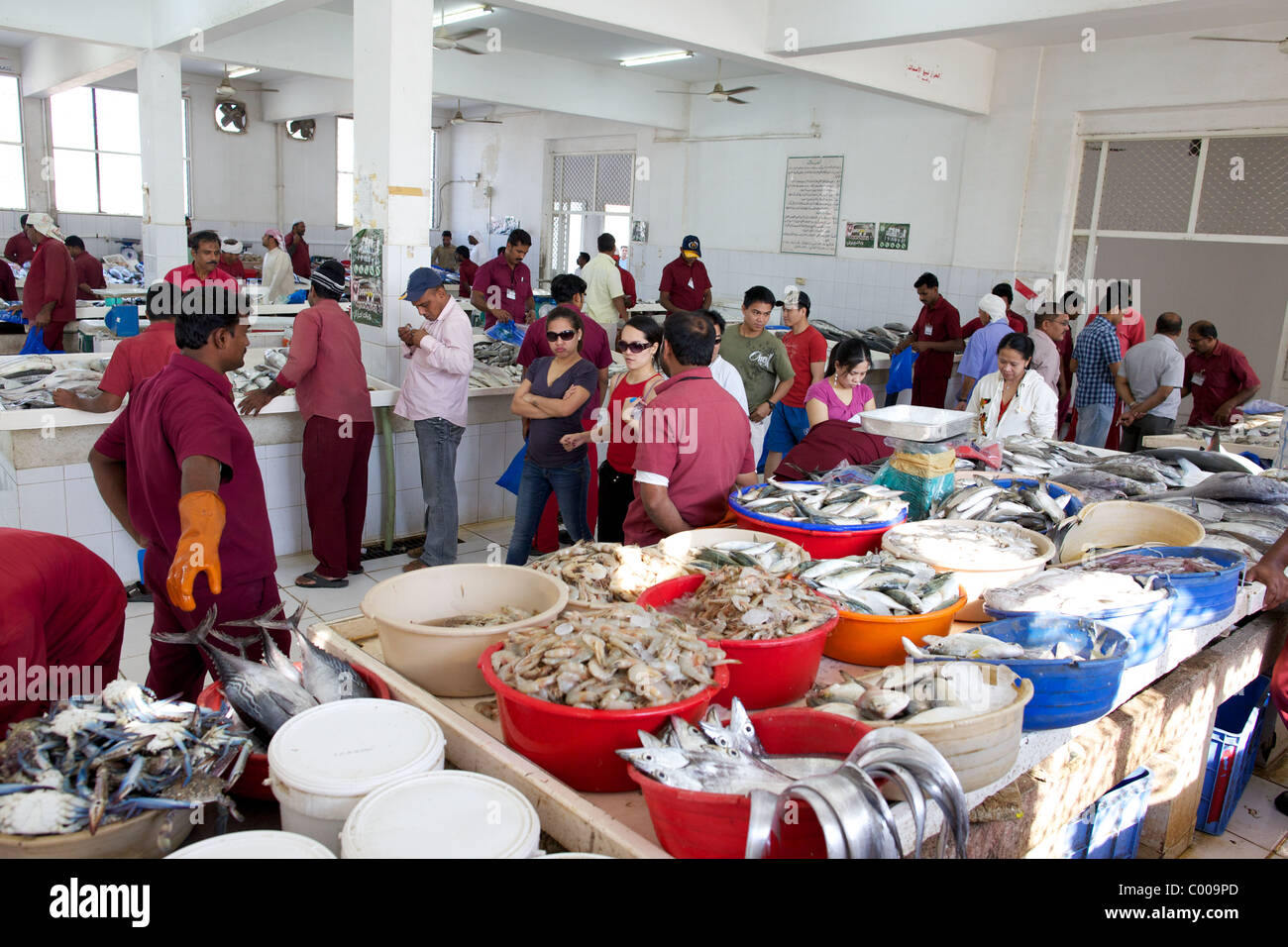 Fish market, north of Dubai, UAE Stock Photo - Alamy
