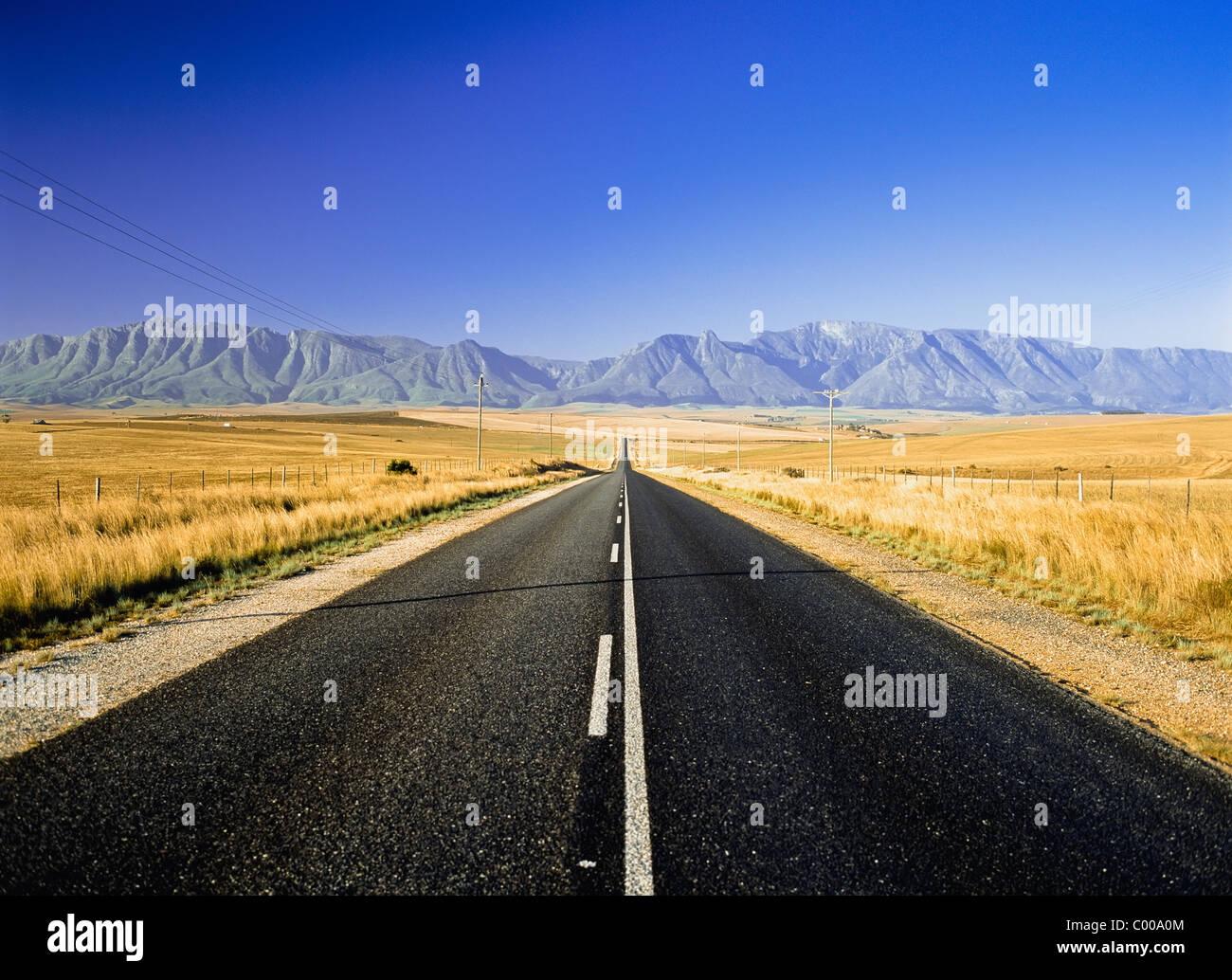 Avenue between fields hi-res stock photography and images - Alamy