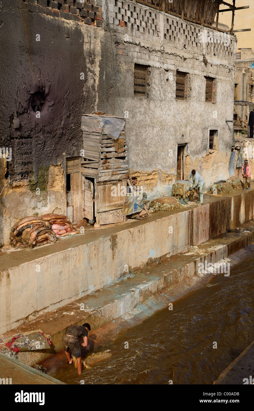 Sheep washing hi-res stock photography and images - Alamy