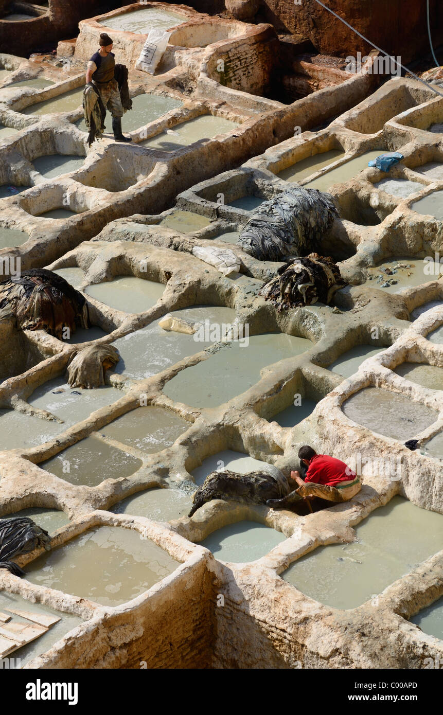 Wet blue chrome tanning soaking vats at Fes Tannery Chouara Quarter Fez ...