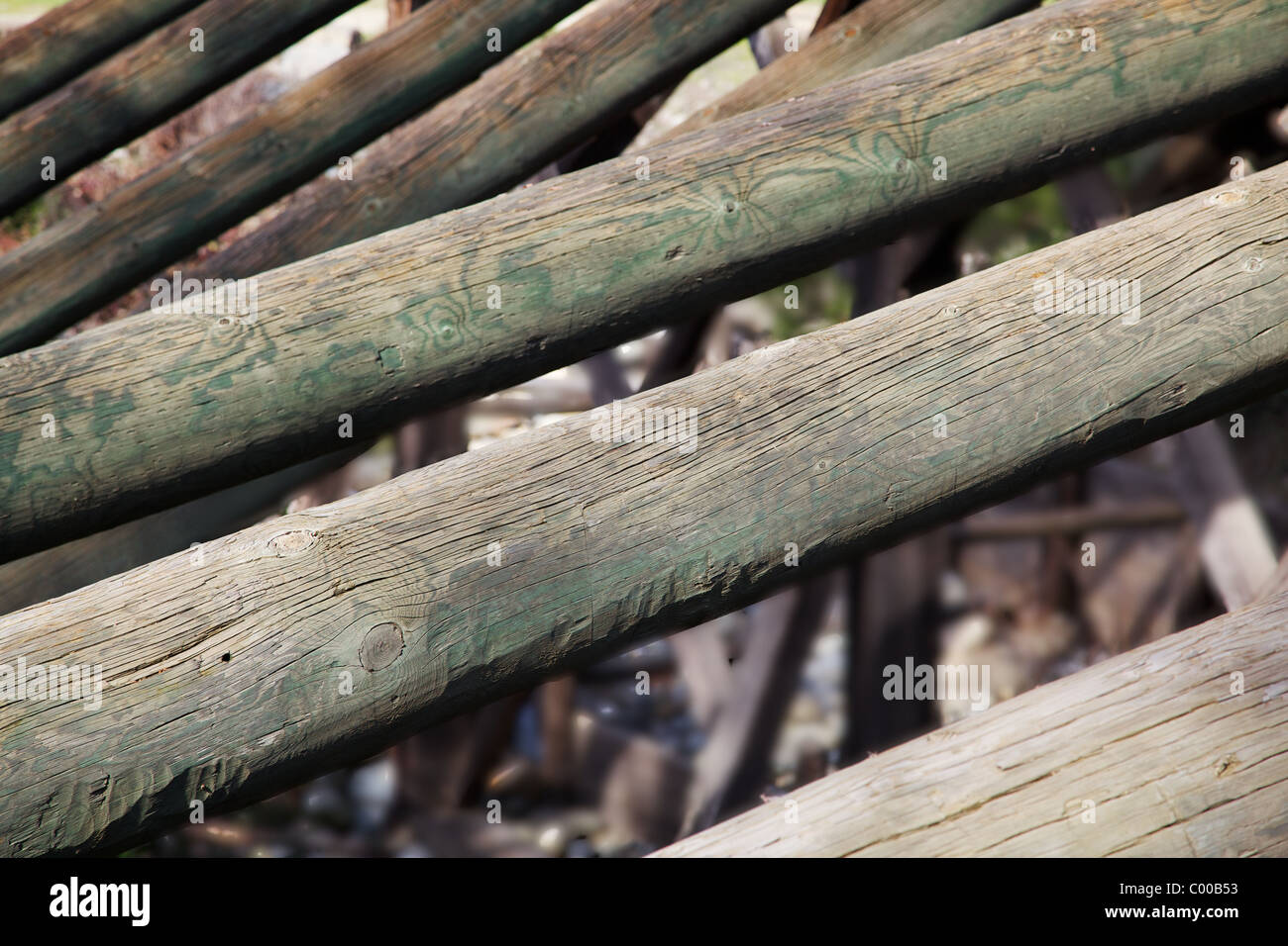 Alternating rows large leaning de-barked tree trunks that are part of ...