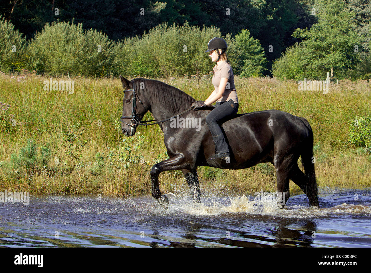 girl riding on Holstein horse through water Stock Photo - Alamy
