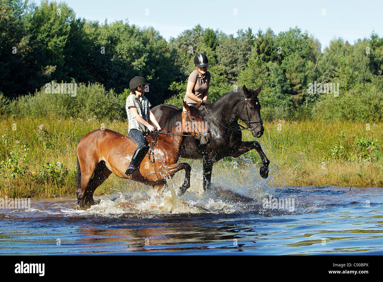 two children on horses in water Stock Photo - Alamy