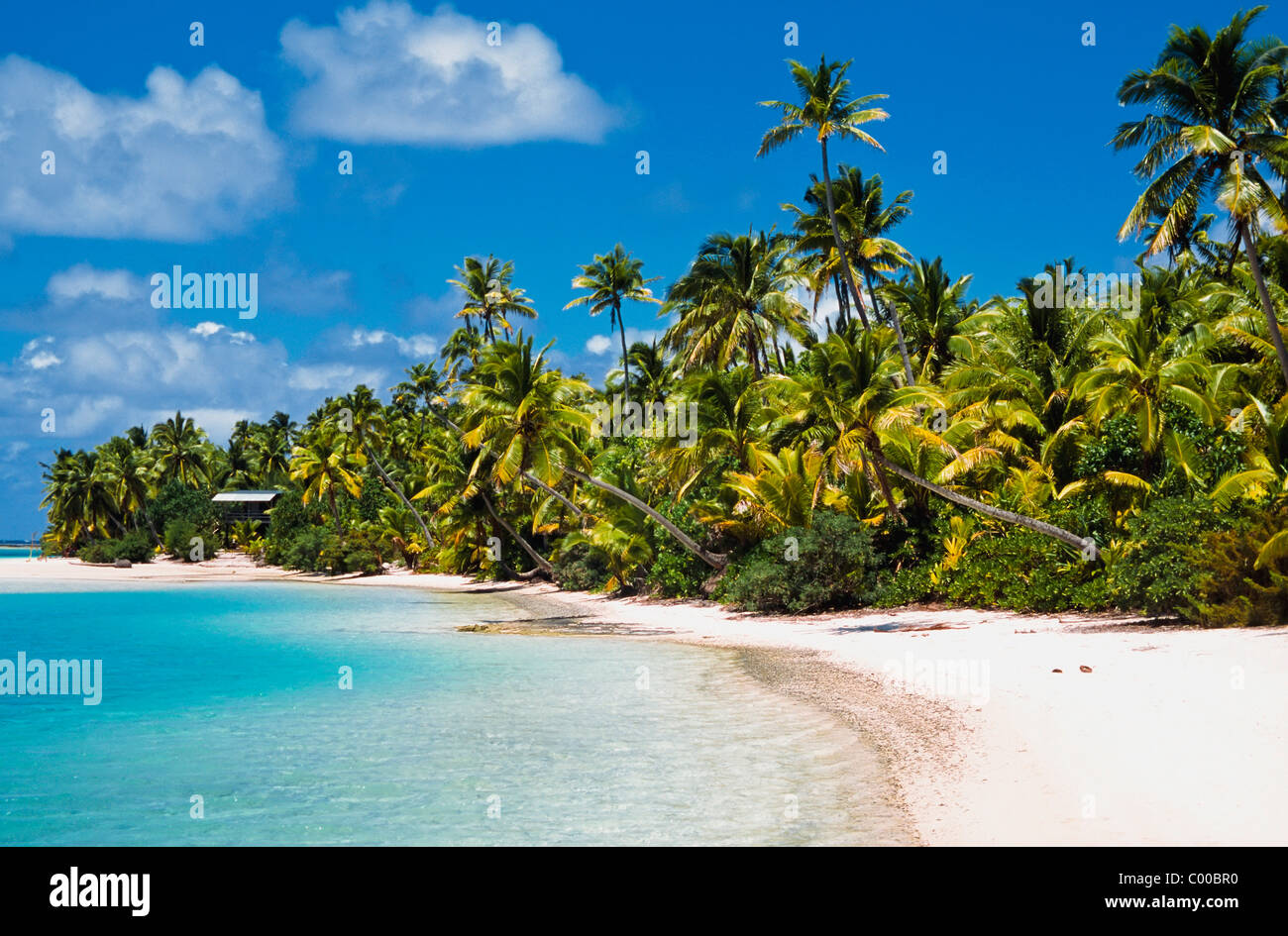 Palm Tree Lined Beach On Tapuae Tai Island Stock Photo - Alamy