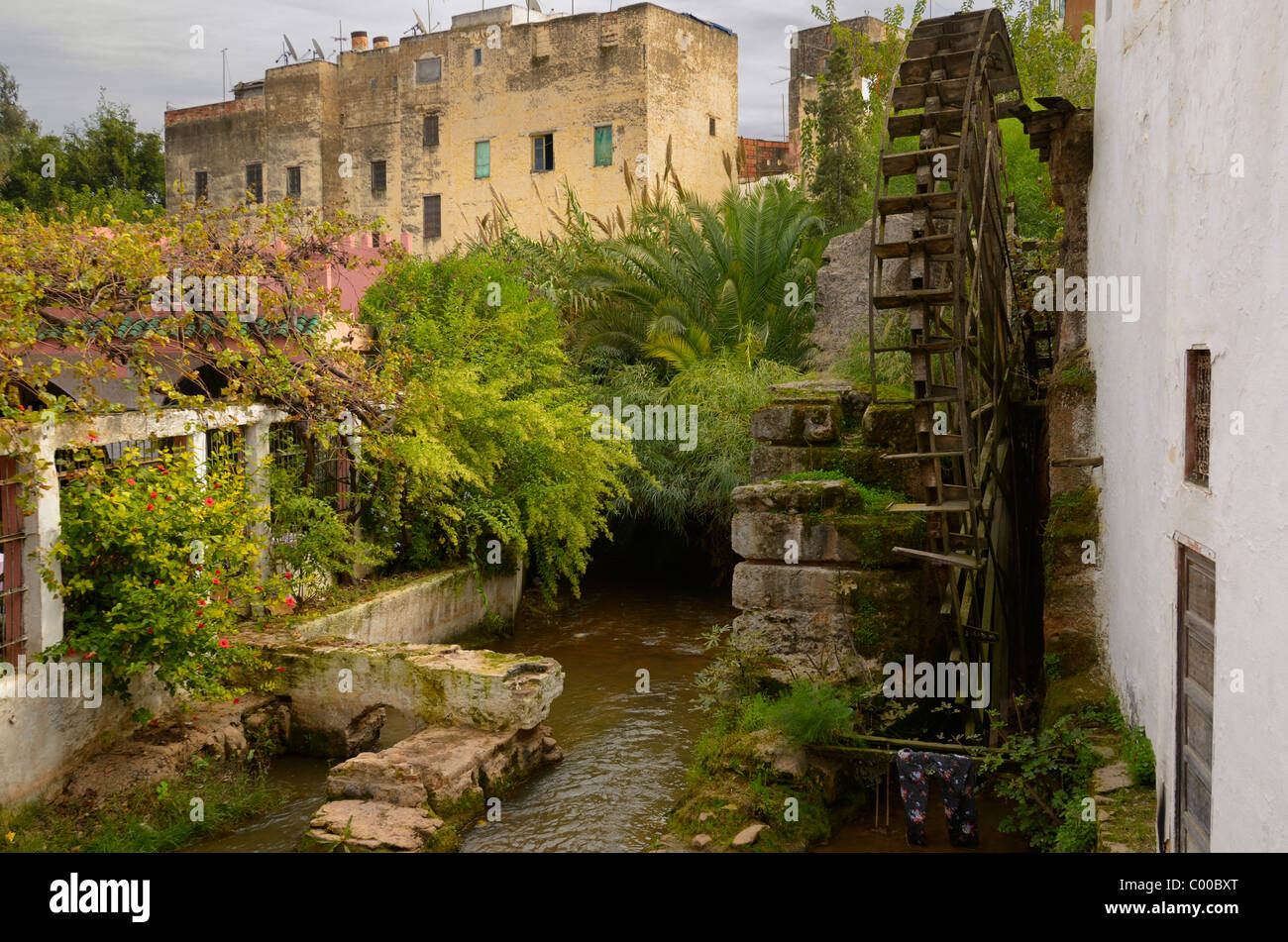 Ancient noria Andelusian waterwheel on Wadi Fes river Morocco Stock ...
