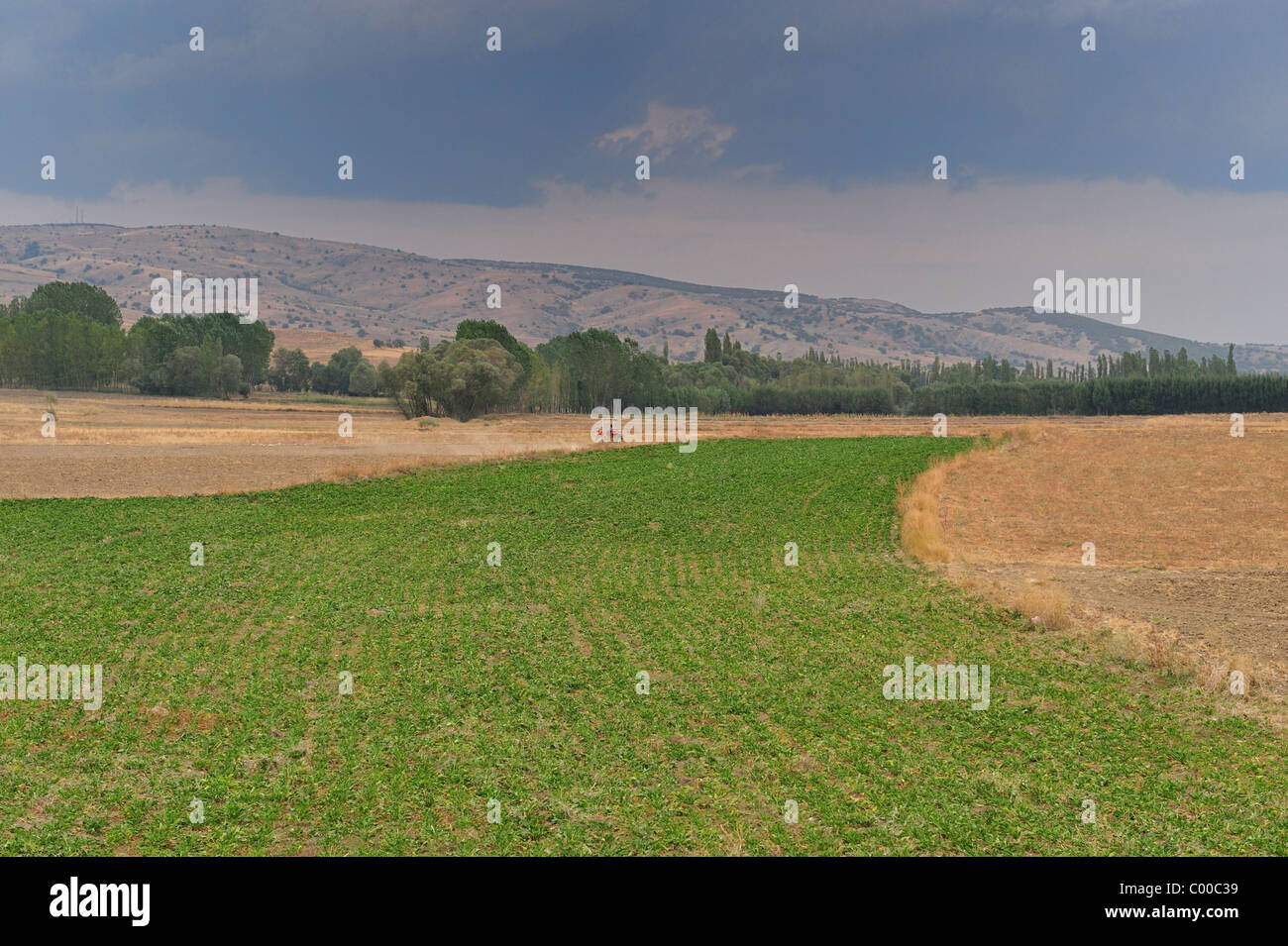 Alaca Hoyuk High Resolution Stock Photography and Images - Alamy