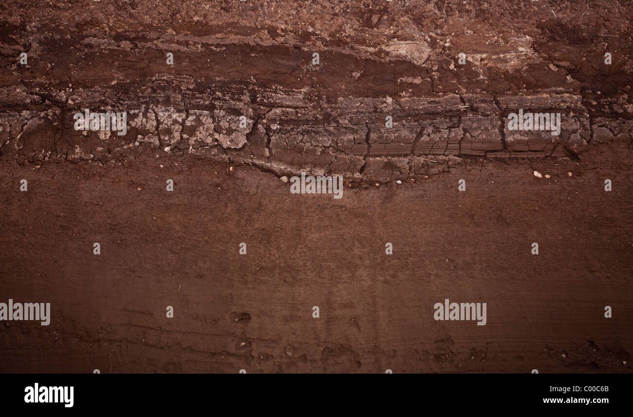 Cross section of real underground soil layers Stock Photo - Alamy