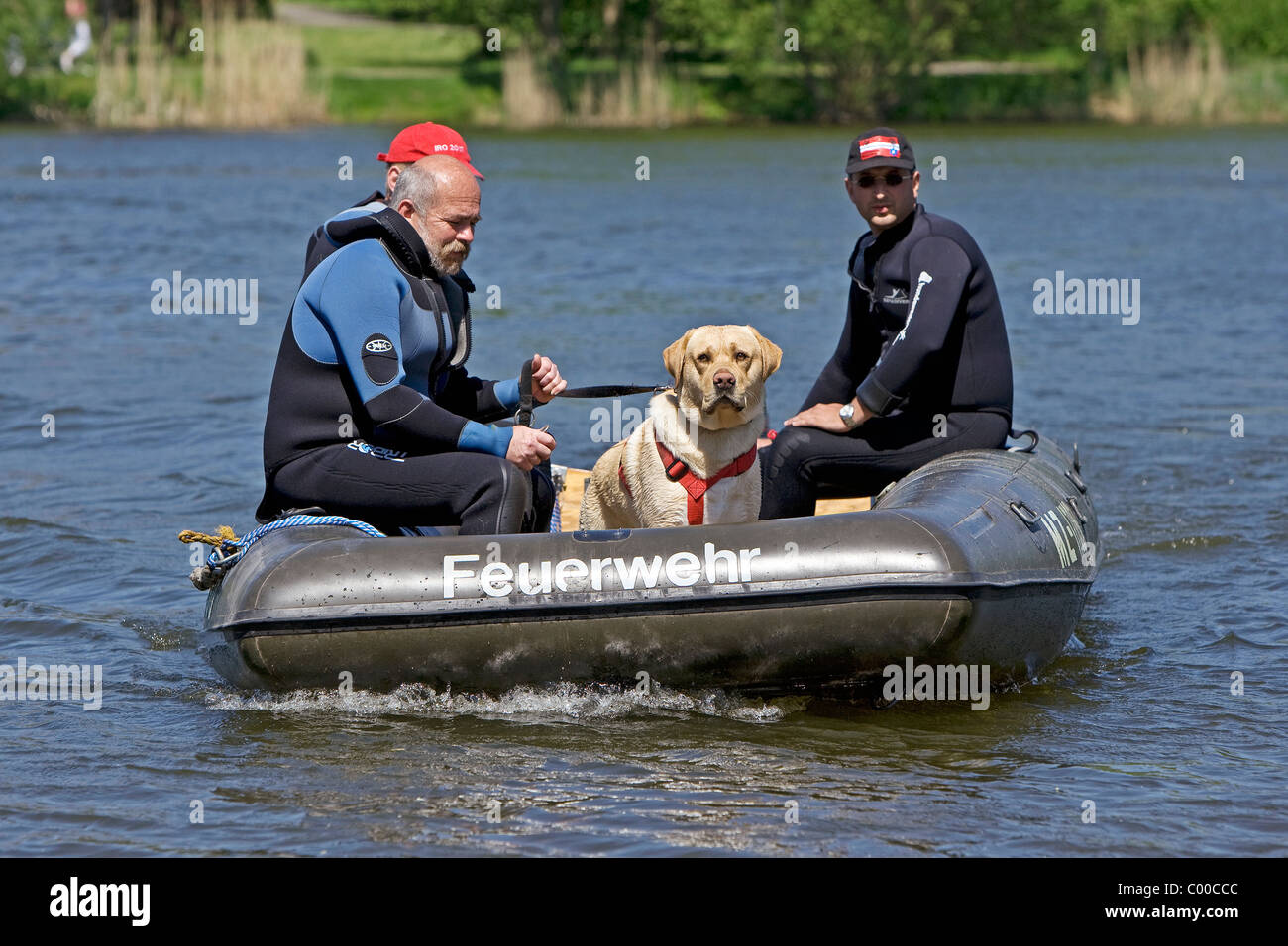 Water rescue dog and men on boat Stock Photo - Alamy