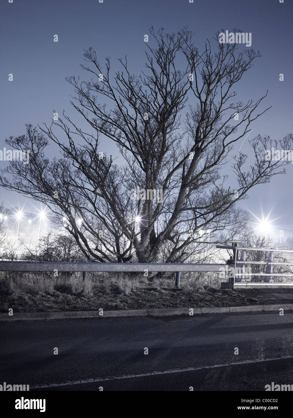 Mark reeves Stock Photos & Images from Alamy