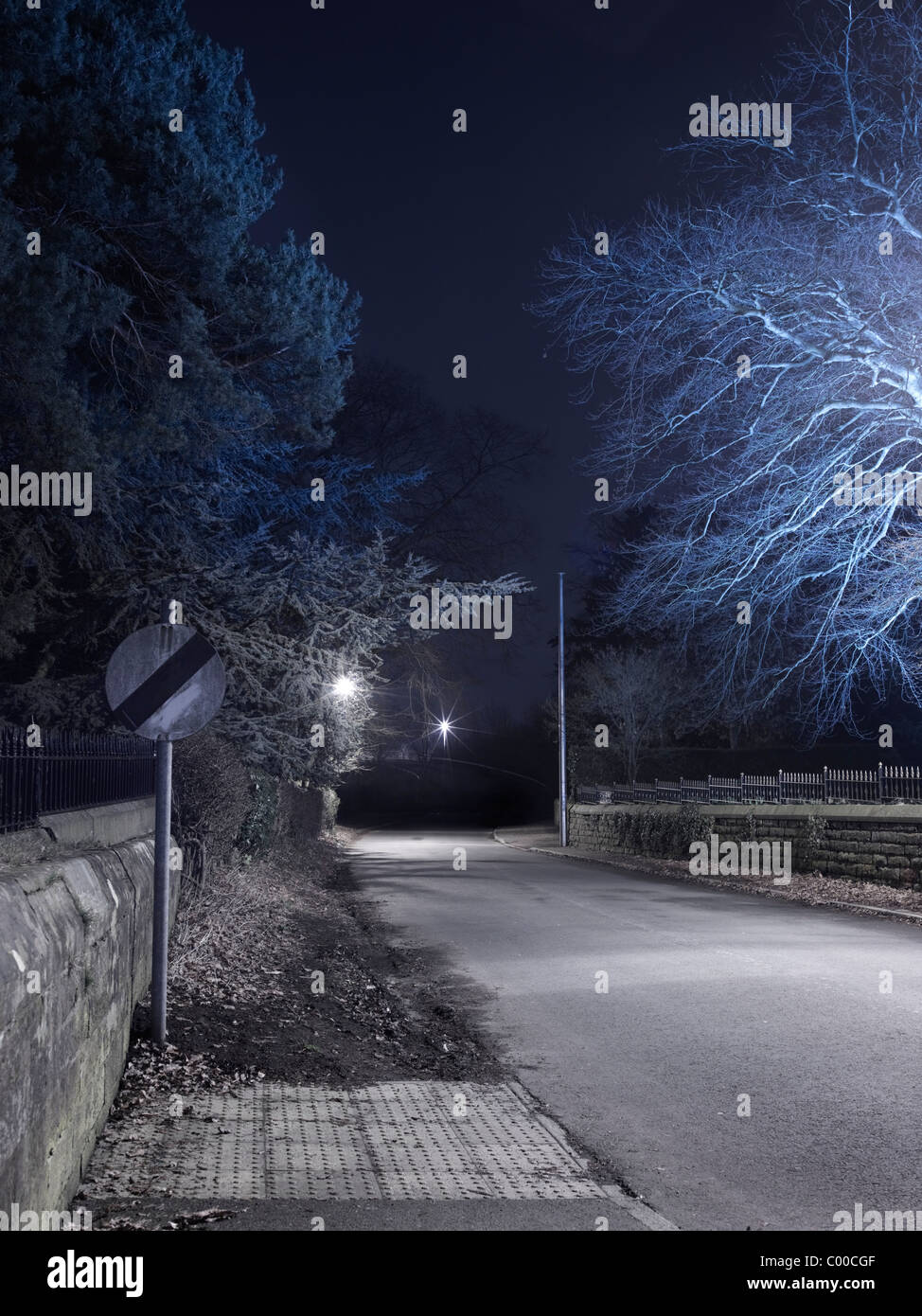 Road and trees lit by street lights at night with blue sky , taken by ...
