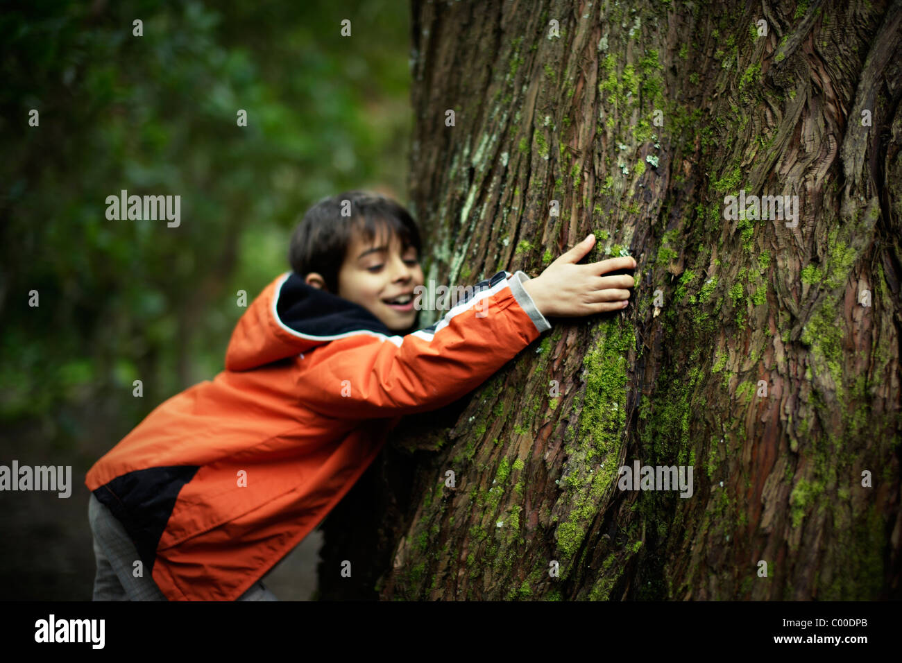 Boy touching tree trunk hi-res stock photography and images - Alamy