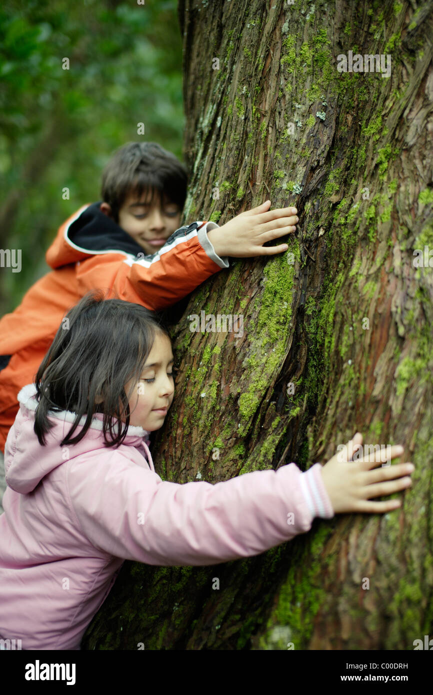 Boy touching tree trunk hi-res stock photography and images - Alamy