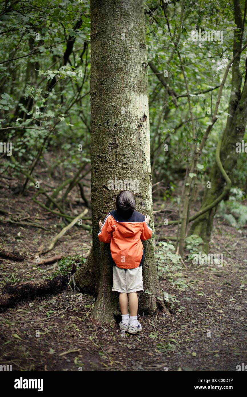 Boy look up at tree hi-res stock photography and images - Alamy