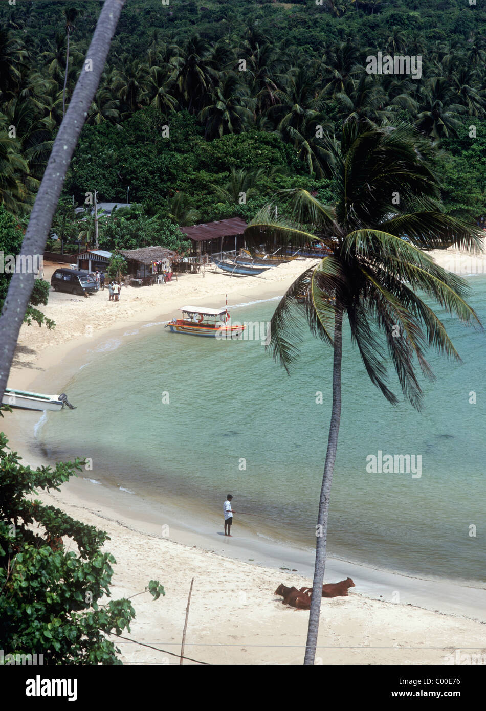 Elevated view of tropical beach Stock Photo - Alamy