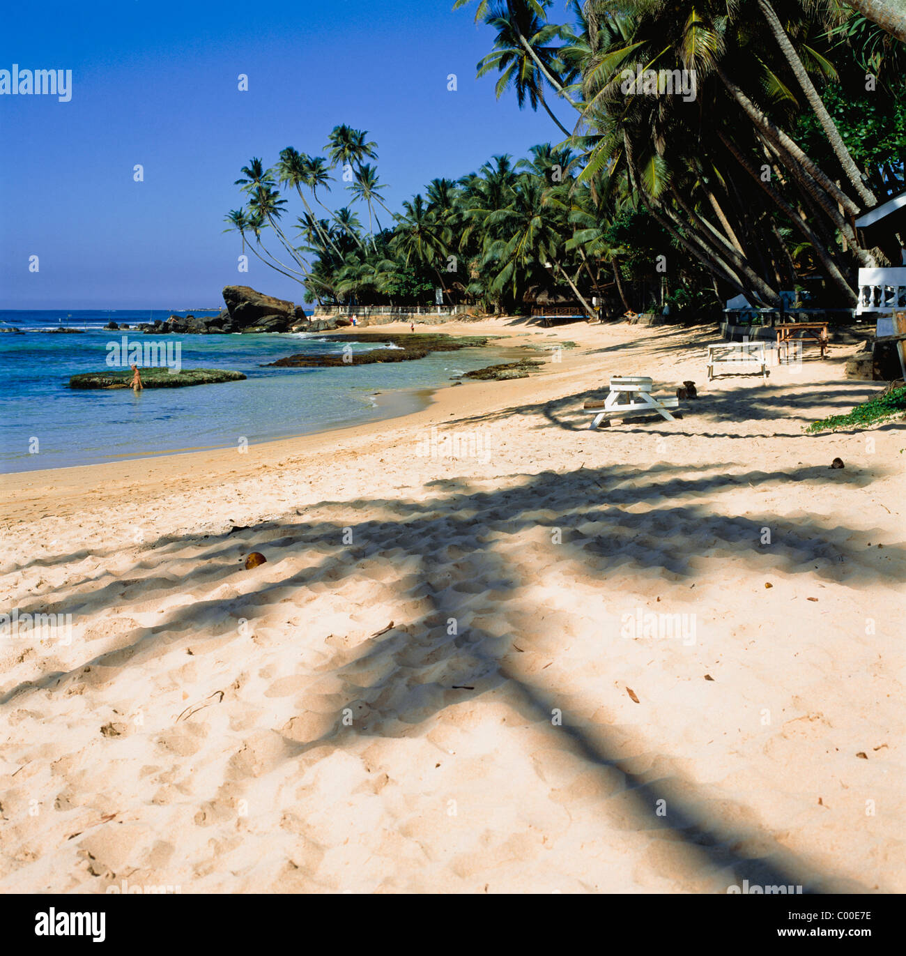 Shadow of palm tree hi-res stock photography and images - Alamy