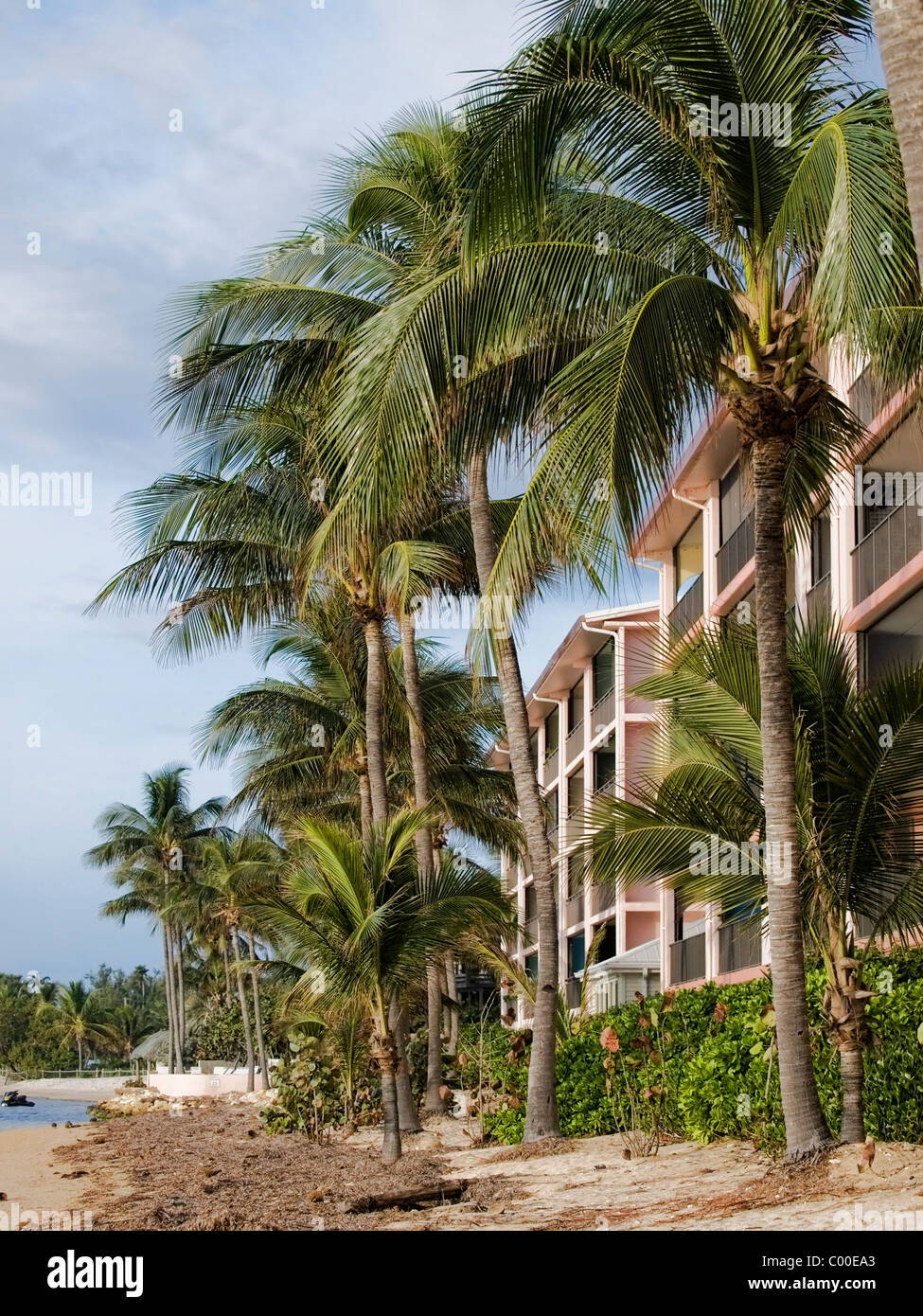 Tropical setting in Key West Florida with hotels condos at the oceans ...
