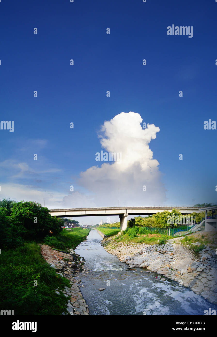 Vivid scenery, portrait landscape, beautiful scenery river and grass ...