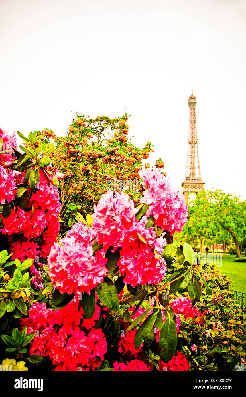 Eiffel tower, Paris, France Stock Photo - Alamy