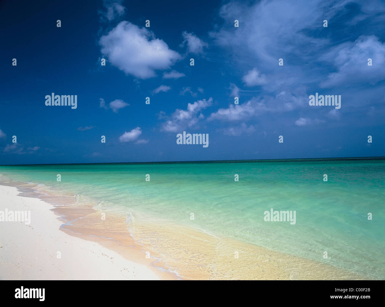 Parrot cay beach hi-res stock photography and images - Alamy