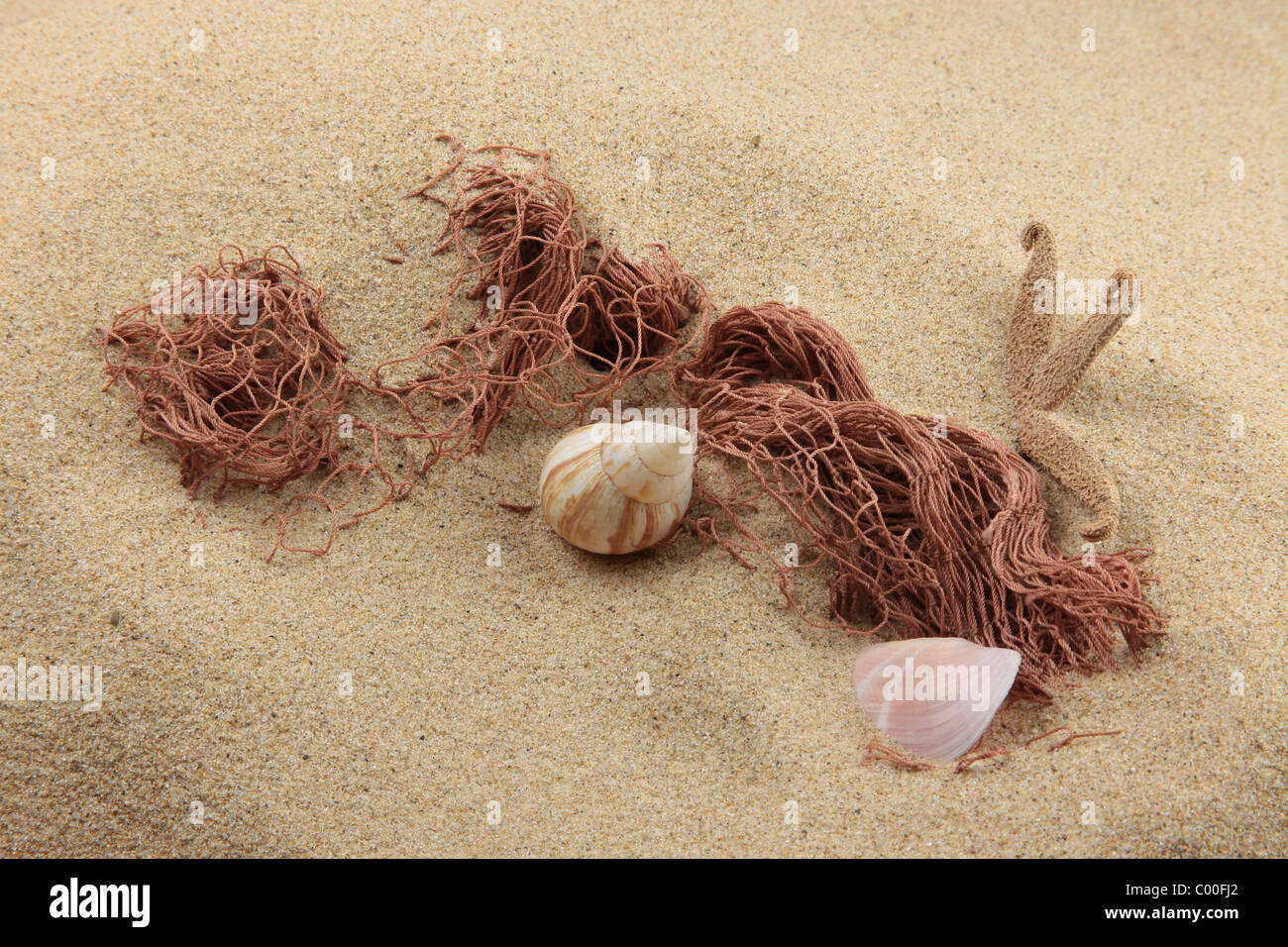 Net marina beach hi-res stock photography and images - Alamy