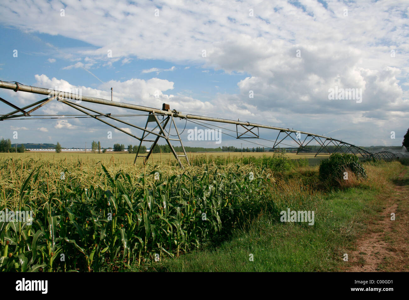 agriculture, watering crop system Stock Photo - Alamy