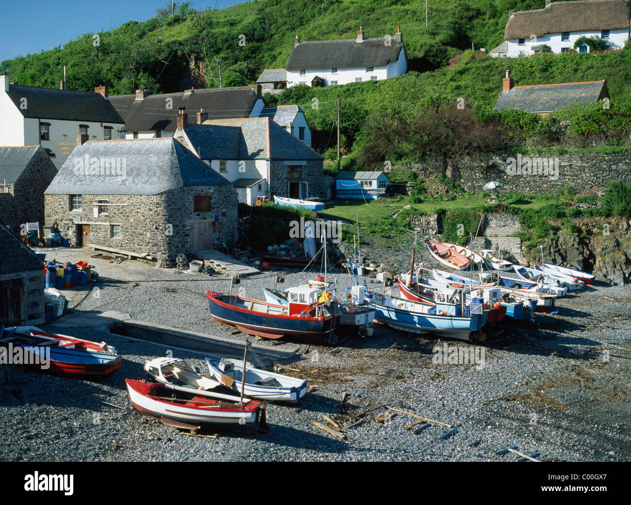 Boats at low tide in harbour at Cadgwith Stock Photo - Alamy