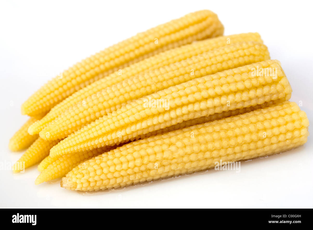 Young small corn closeup view Stock Photo - Alamy